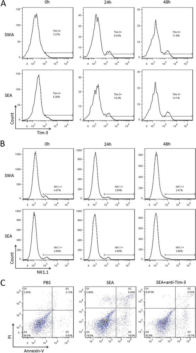 CD366 (TIM3) Antibody, PE (12-5870-82)