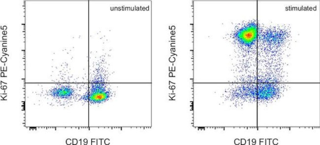 Ki-67 Monoclonal Antibody (SolA15), PE-Cyanine5 (15-5698-82)