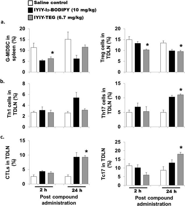 IL-17A Antibody, FITC (11-7177-81)