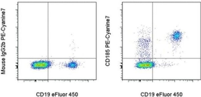 CD185 (CXCR5) Monoclonal Antibody (MU5UBEE), PE-Cyanine7 (25-9185-42)