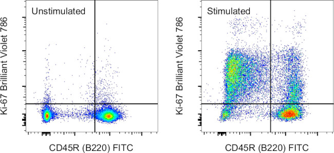 Ki-67 Antibody, Brilliant Violet™ 786 (417-5698-82)