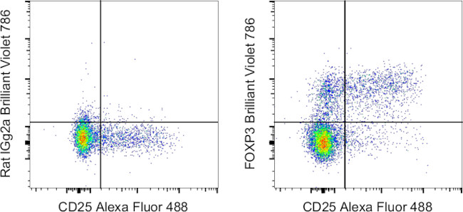 FOXP3 Monoclonal Antibody (FJK-16s), Brilliant Violet™ 786 (417-5773-82)