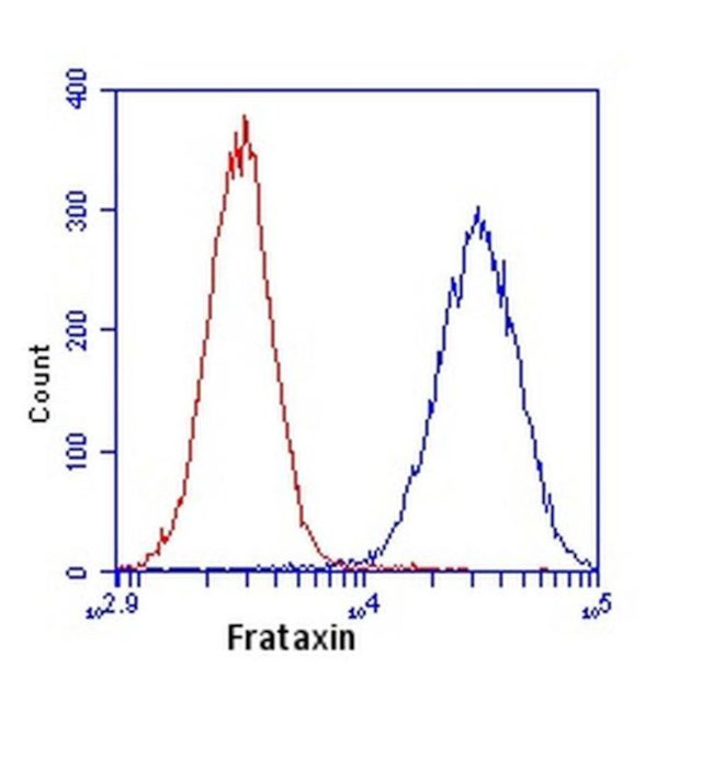 FXN Antibody (45-6300)