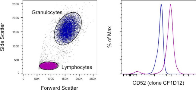CD52 Antibody, Super Bright™ 702 (67-0529-42)
