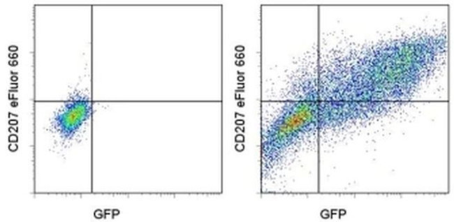 CD207 (Langerin) Antibody, eFluor™ 660 (50-2073-82)