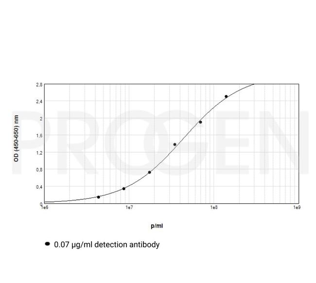 M13/fd/F1 Monoclonal Antibody (B62-FE2), HRP (61097-HRPS)