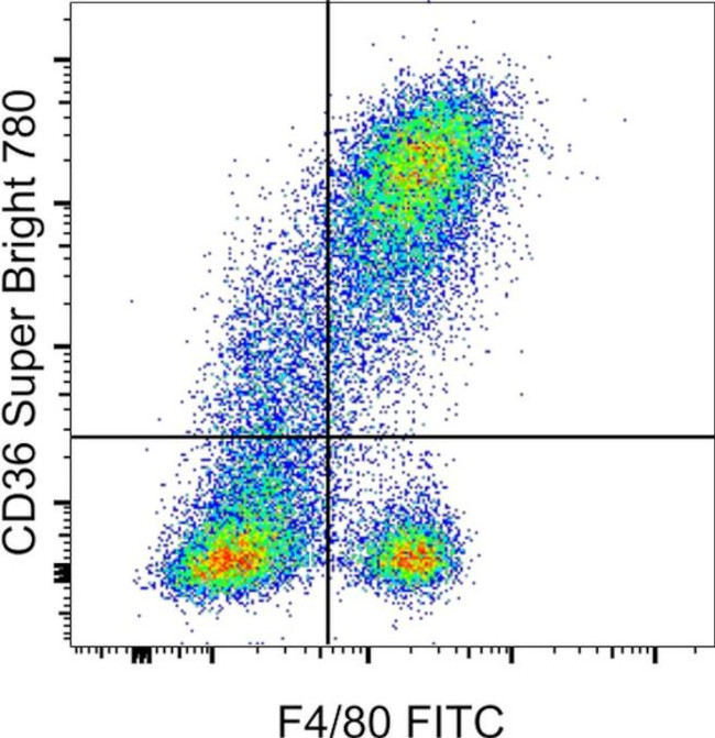 CD36 Antibody, Super Bright™ 780 (78-0362-82)