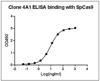 SpCas9 Antibody (A01935-40)