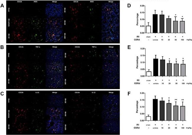 CD11b Antibody, Alexa Fluor™ 700 (56-0112-82)