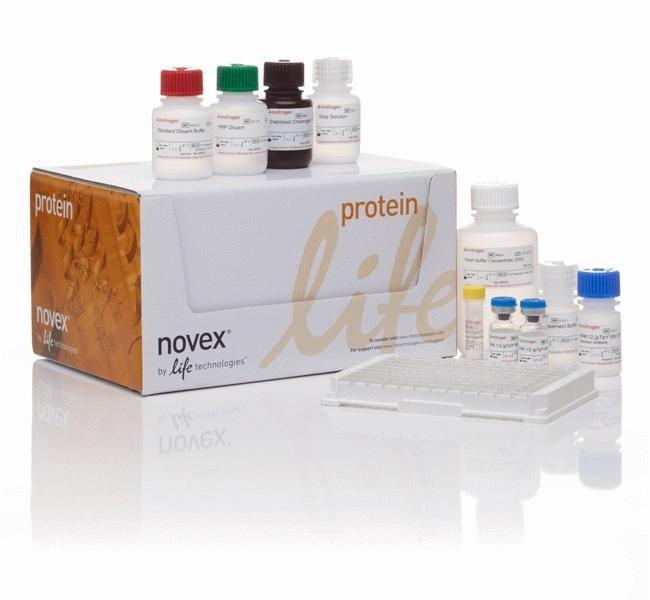 2'3'- Cyclic GAMP ELISA Kit - Invitrogen