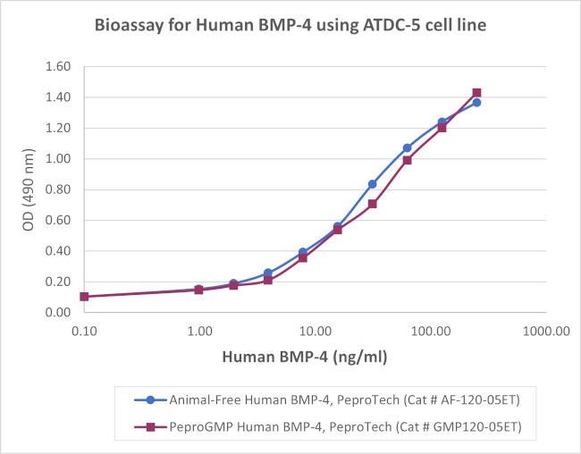 PeproGMP® Human BMP-4 Recombinant Protein (GMP120-05ET-50UG)
