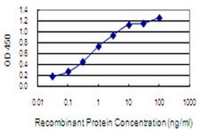 NGEF Monoclonal Antibody (6E7) (H00025791-M01)