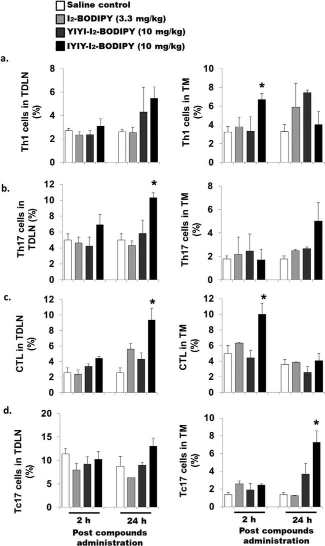 IL-17A Antibody, FITC (11-7177-81)