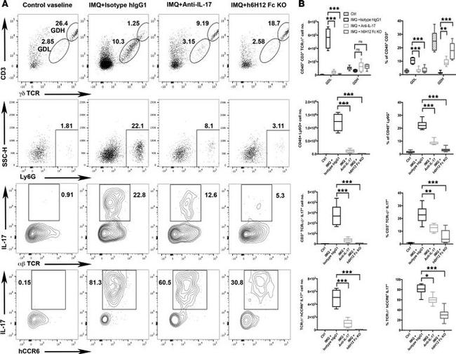 IL-17A Antibody, FITC (11-7177-81)