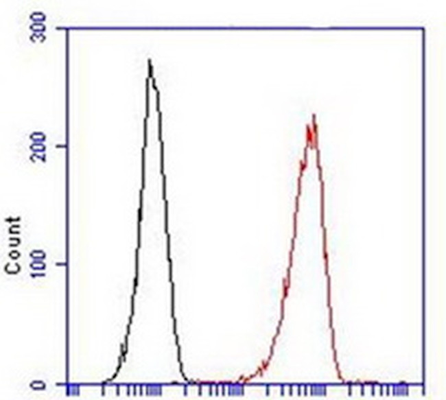 LGR5 Monoclonal Antibody (OTI2A2), PE (TA400001)