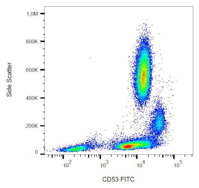 CD53 Monoclonal Antibody (MEM-53), FITC (MA1-10247)