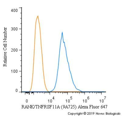 RANK Monoclonal Antibody (9A725) (MA5-16153)
