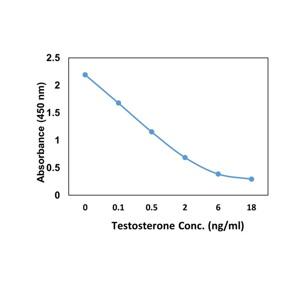 Testosterone Antibody (MA5-38676)