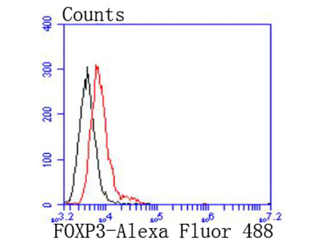 FOXP3 Recombinant Monoclonal Antibody (JF0926) (MA5-45016)
