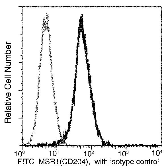 CD204 Recombinant Monoclonal Antibody (004), FITC (MA5-46791)