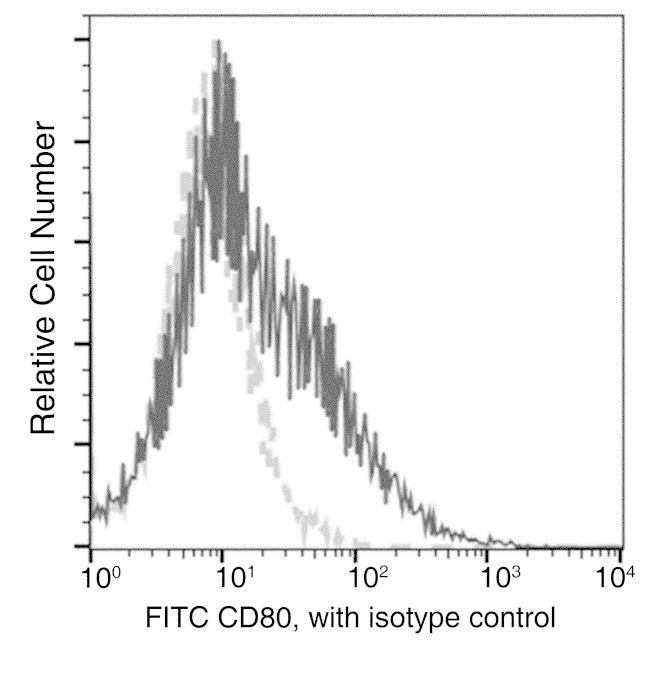CD80 Recombinant Monoclonal Antibody (014), FITC (MA5-52390)