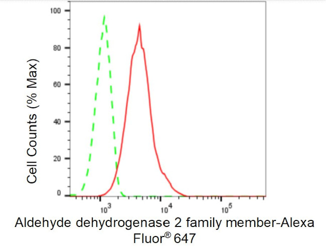 ALDH2 Recombinant Monoclonal Antibody (23GB4810) (MA5-52750)