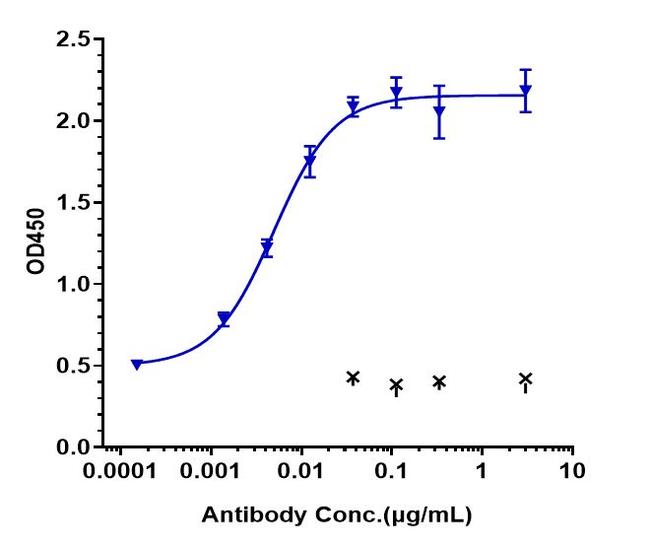 Nipocalimab Recombinant Monoclonal Antibody (MA5-59521)