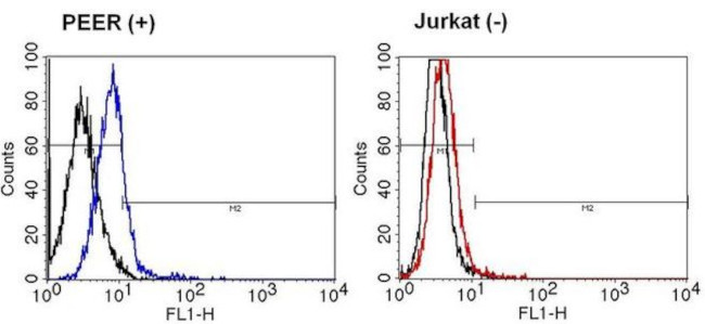 TCR gamma/delta Antibody, FITC (TCR2061)