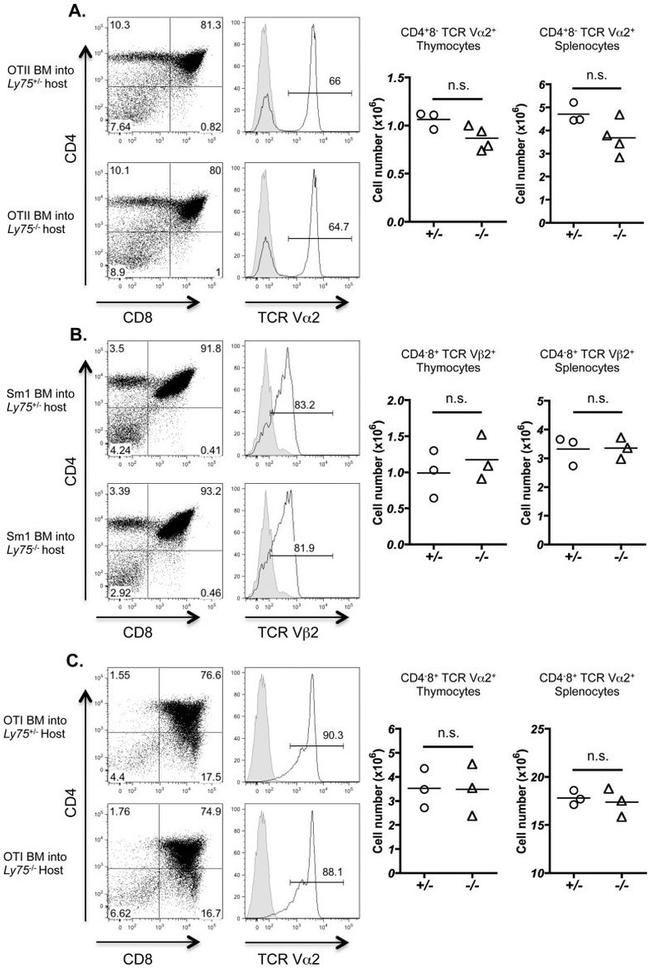 TCR V alpha 2 Antibody, APC (17-5812-82)
