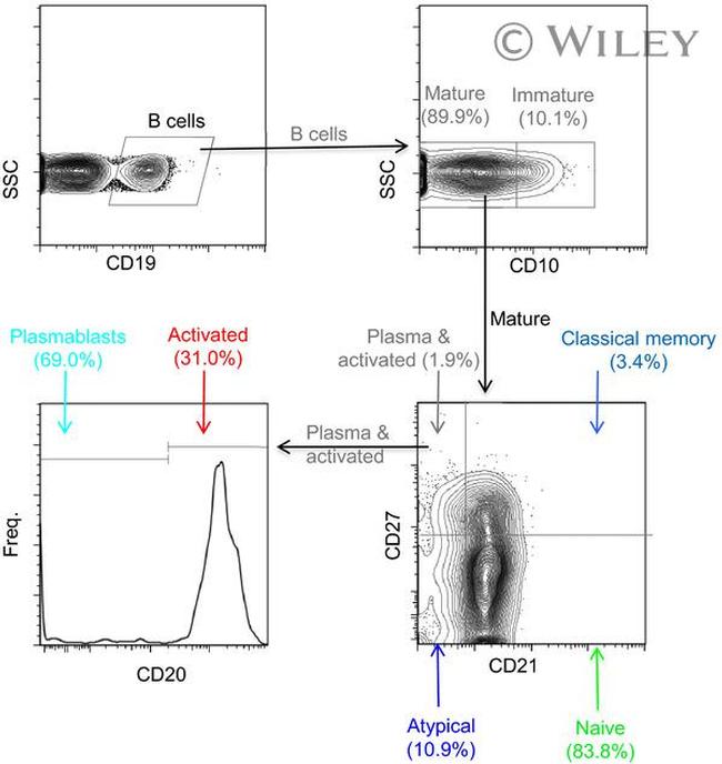 CD19 Antibody, eFluor™ 450 (48-0198-42)