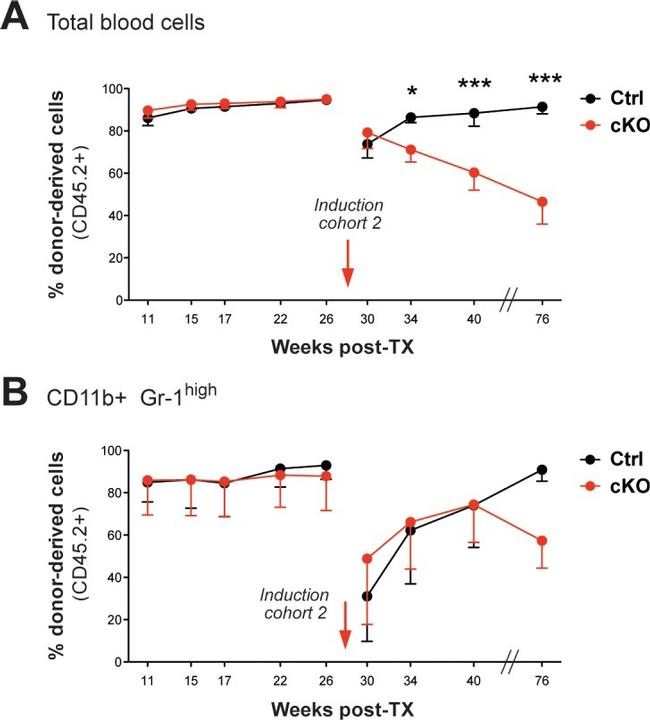 CD45.1 Antibody, APC (17-0453-82)