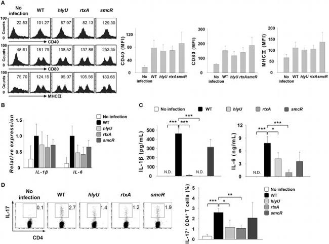 IL-17A Antibody, FITC (11-7177-81)