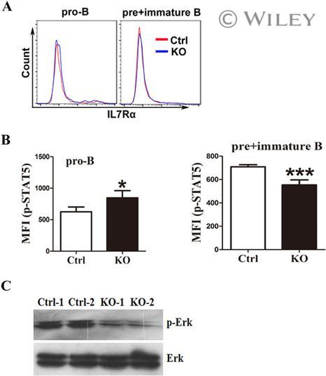 CD127 Antibody, FITC (11-1271-82)