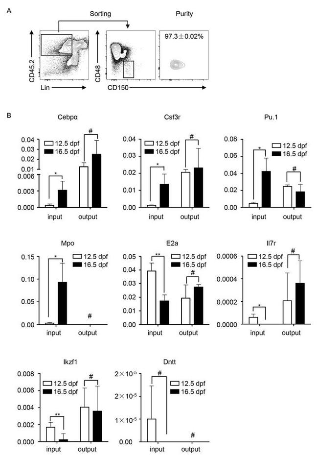 CD150 Antibody, PE (12-1502-82)