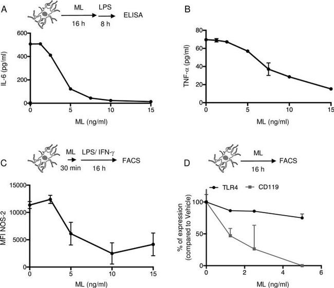 CD119 (IFN gamma Receptor 1) Antibody, PE (12-1191-82)