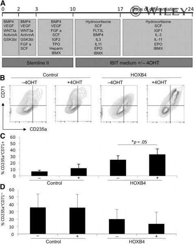 CD71 (Transferrin Receptor) Antibody, FITC (11-0719-42)
