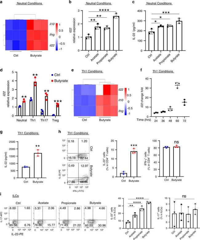 IL-22 Antibody, PE (12-7221-82)
