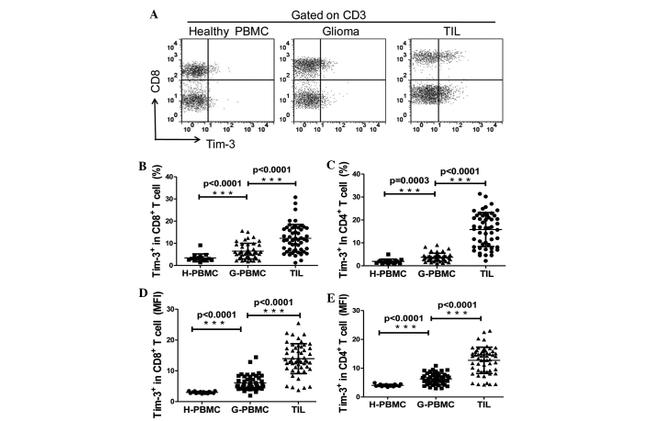 CD3 Antibody, FITC (11-0037-42)