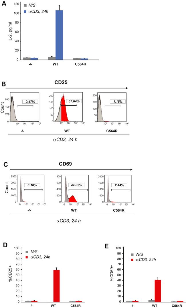 CD69 Antibody, APC (17-0699-42)