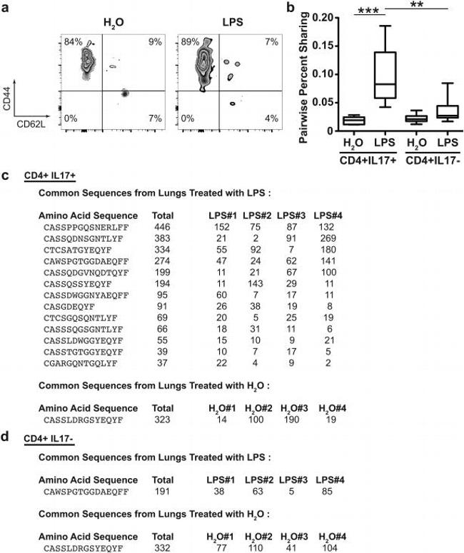 CD62L (L-Selectin) Antibody, APC-eFluor™ 780 (47-0621-82)