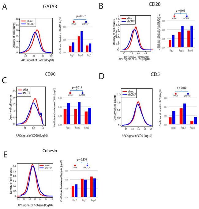 CD5 Antibody (14-0051-82)