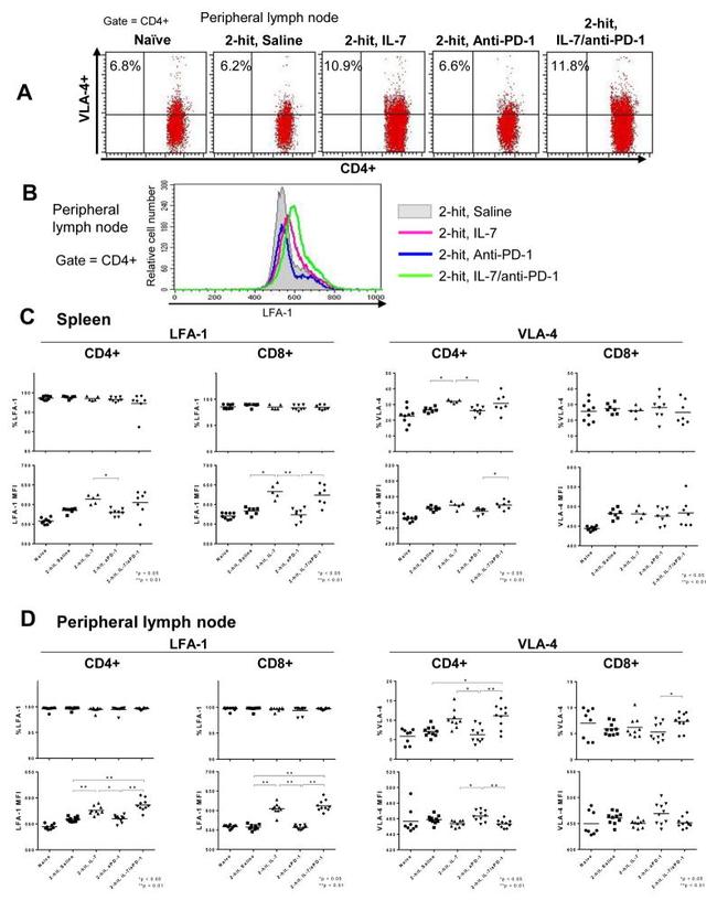 CD49d (Integrin alpha 4) Antibody, Functional Grade (16-0492-82)