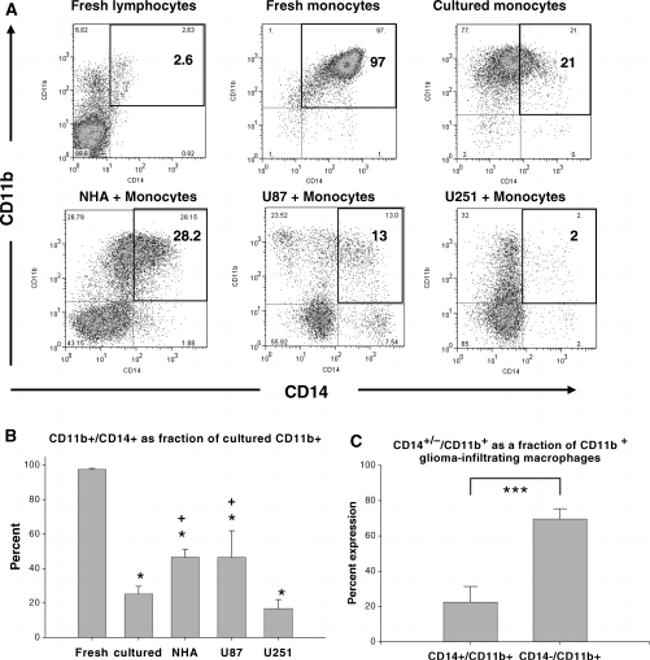 CD11b Antibody, FITC (11-0118-42)