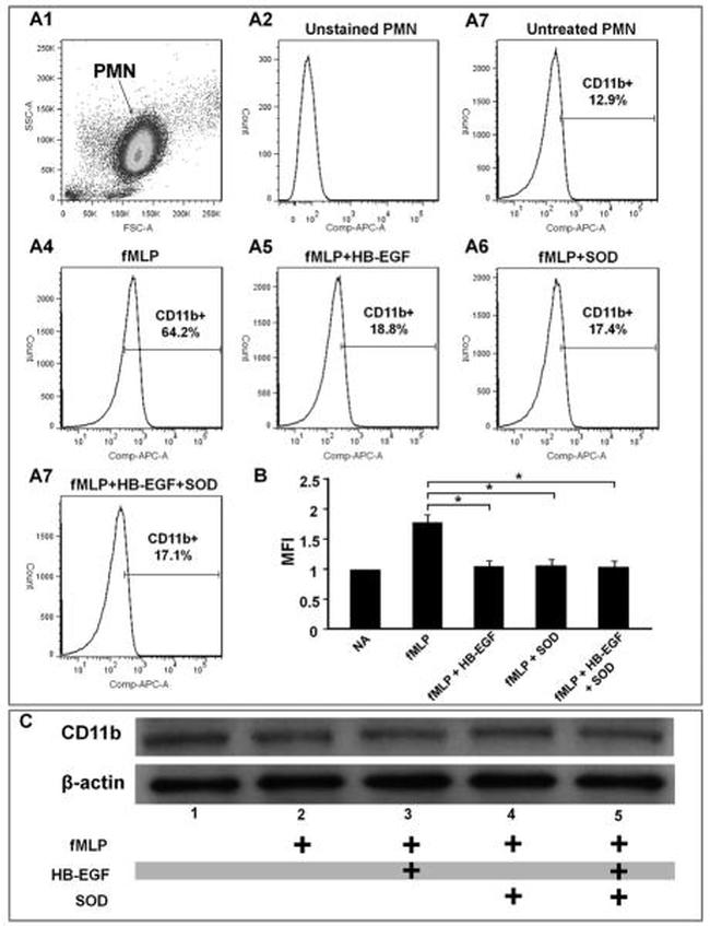 CD11b Antibody (14-0118-82)