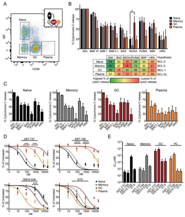 CD19 Antibody, PerCP-eFluor™ 710 (46-0198-42)