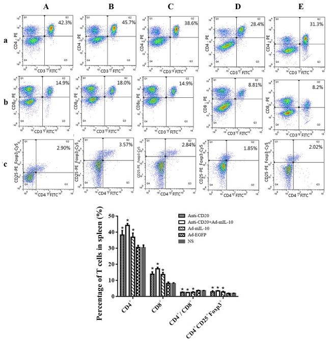 CD25 Antibody, Functional Grade (16-0251-85)
