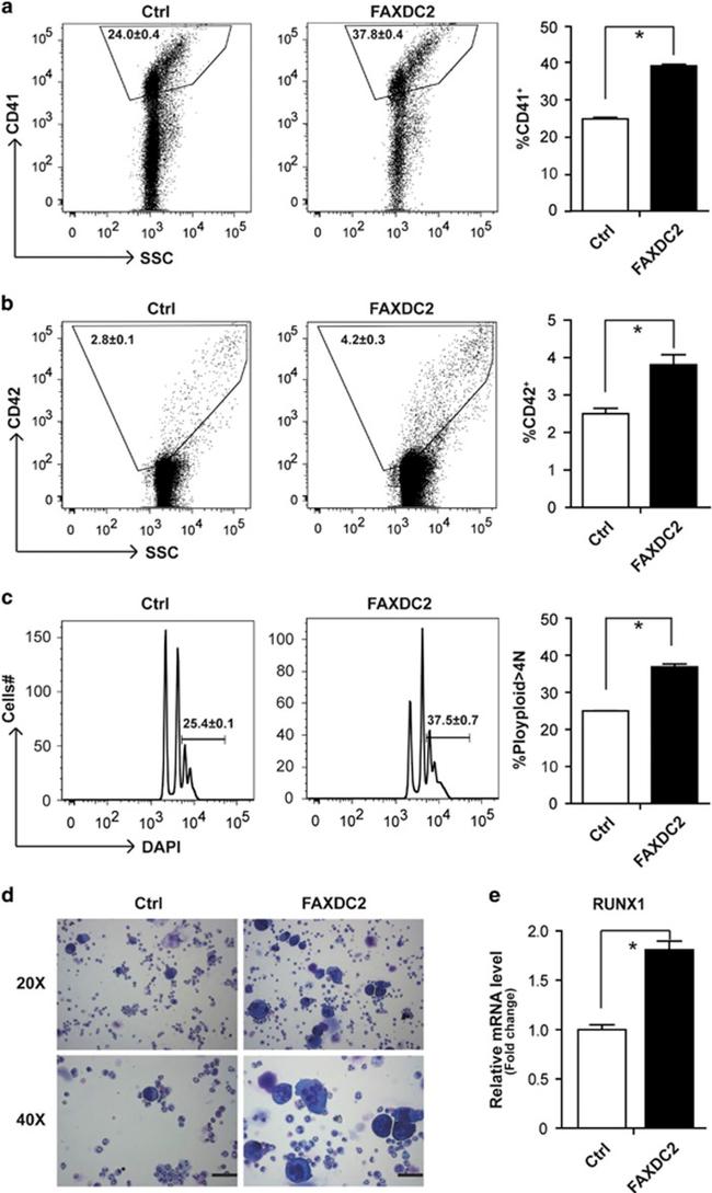 CD41a Antibody, PerCP-eFluor™ 710 (46-0411-82)