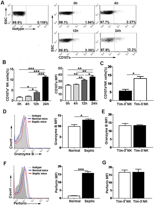 Granzyme B Antibody, PE-Cyanine7 (25-8898-82)