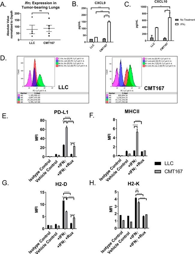 CD274 (PD-L1, B7-H1) Antibody, Functional Grade (16-5982-82)