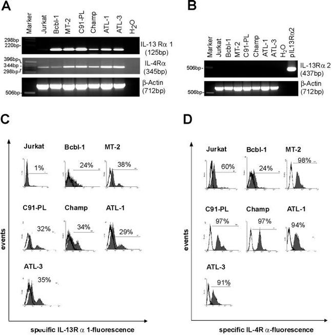 CD124 Antibody, Functional Grade (16-1249-82)